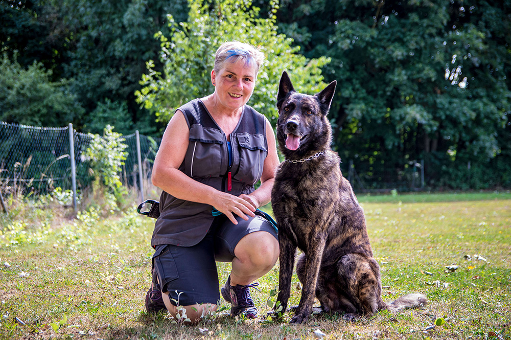 SV OG Ingolstadt-Süd | Verein für Deutsche Schäferhunde - aktive Mitglieder